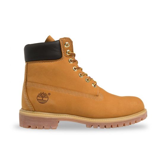 TIMBERLAND – layouthub-tung